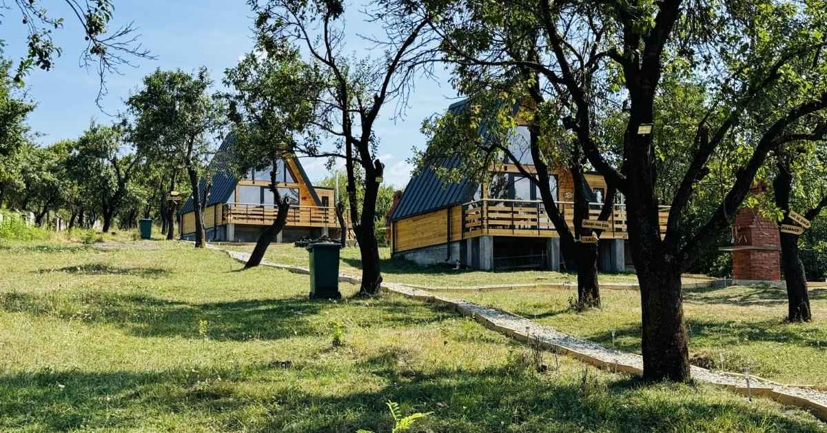 Top Cabane A Frame de Închiriat în România [Wow]