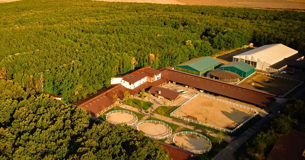 Top Locații Team Building în România | TopCabane.ro